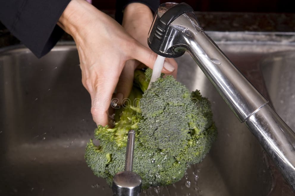 Broccoli wash stock image. Image of healthy, food, broccoli - 13439335