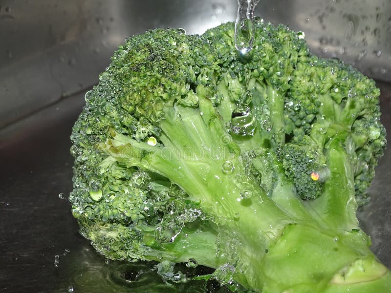 Broccoli washing stock image. Image of green, organic - 108251623
