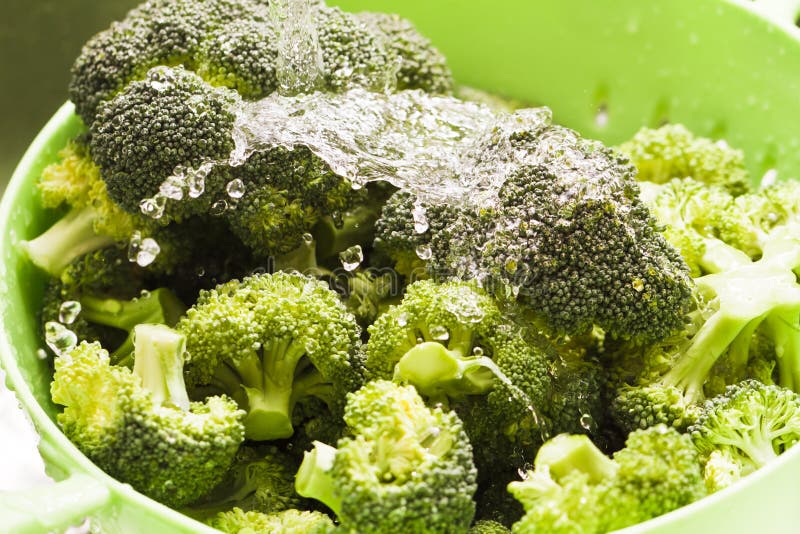 Broccoli washing in water stock photo. Image of ingredients - 19269192
