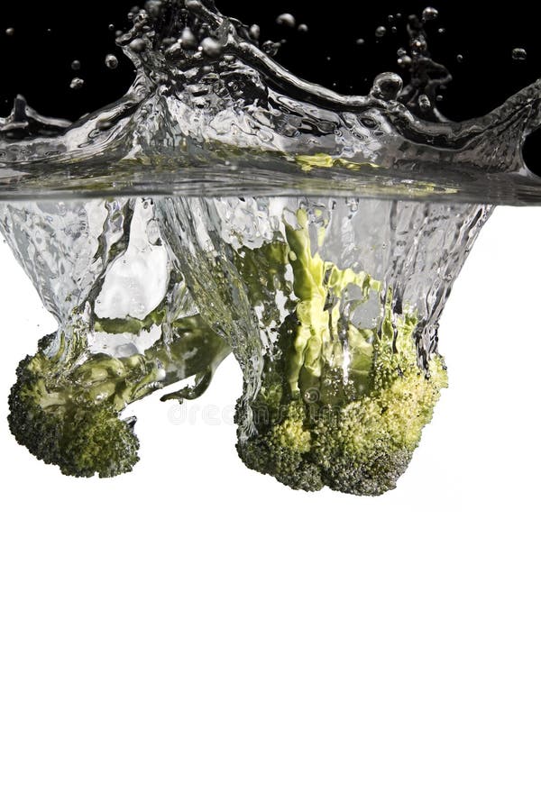 Broccoli in water stock image. Image of brocoli, brocholi - 13791373