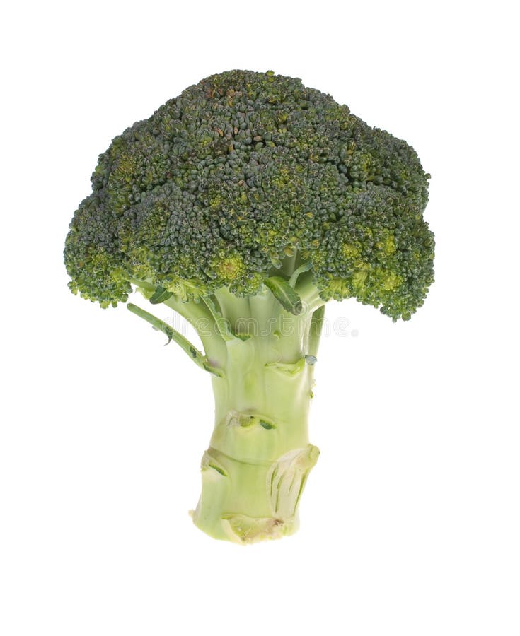 Broccoli on white stock image. Image of white, isolated - 13322711