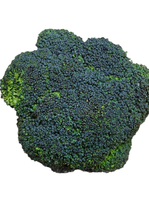 Broccoli on white stock photo. Image of background, appetizer - 18762470