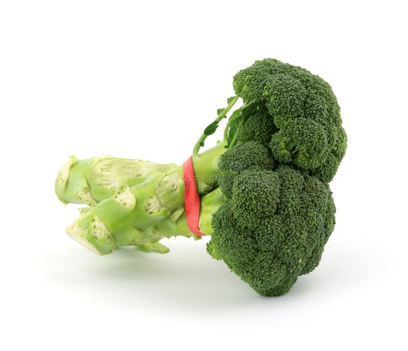 2,649 Red Rubber Band White Background Stock Photos - Free & Royalty ...