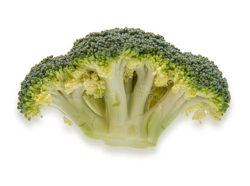A Broccoli on White Background Stock Photo - Image of traditional ...