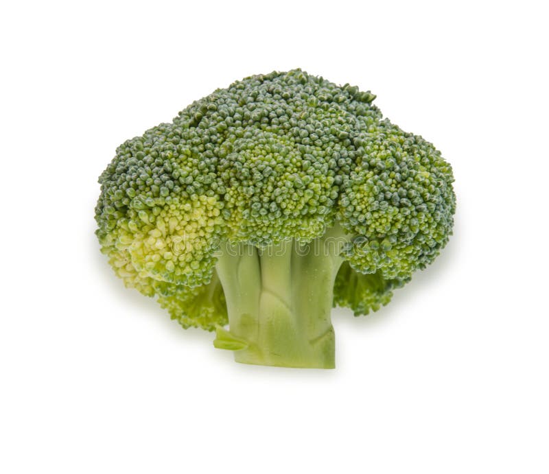 Broccoli on White Background Stock Photo - Image of symbol, background ...