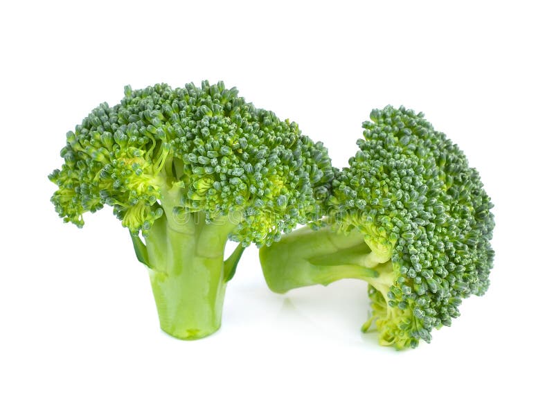 Broccoli on White Background Stock Image - Image of salad, snack: 113107897