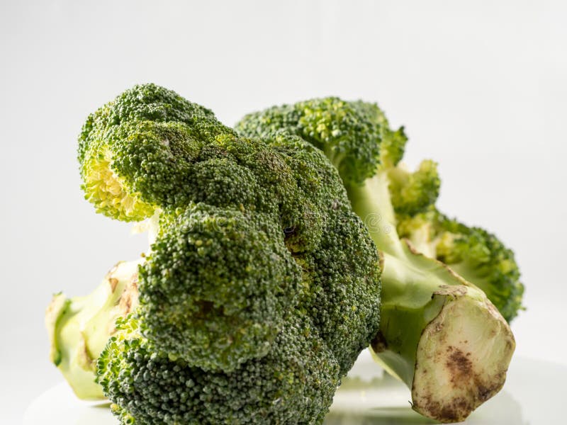 Broccoli on a White Background. Head of Broccoli Stock Photo - Image of ...