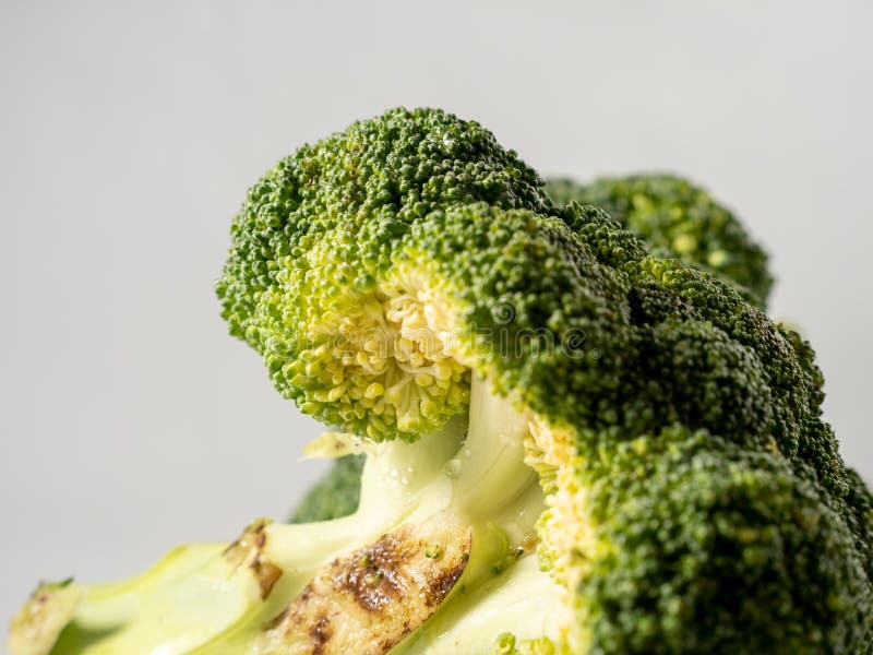 Broccoli on a White Background. Head of Broccoli Stock Image - Image of ...