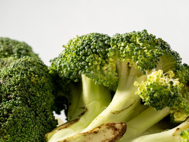 Broccoli on a White Background. Head of Broccoli Stock Image - Image of ...