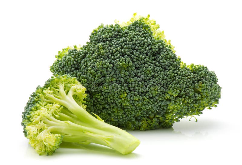 Broccoli on white stock photo. Image of macro, calabrese - 104878024