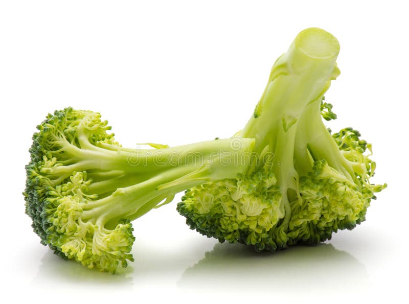 Broccoli on white stock image. Image of buds, italica - 104878563