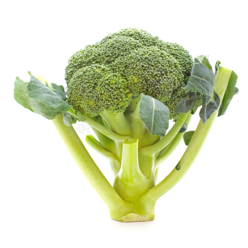 Broccoli on a white stock image. Image of white, lifestyle - 32882475