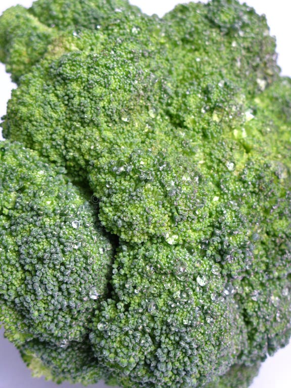Broccoli zoom stock image. Image of backdrop, garden, gourmet - 5855839