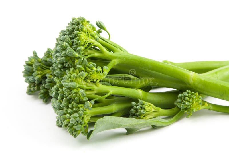 Broccolini Baby Broccoli Isolated Stock Image - Image of brocollini ...