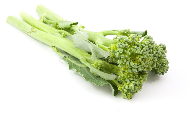 Broccolini Baby Broccoli Isolated Stock Image - Image of organic ...