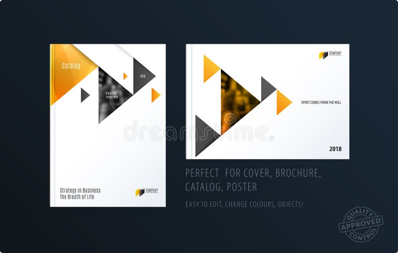 Brochure Design Triangular Template. Colourful Modern Abstract Set ...