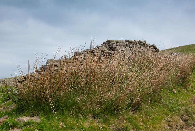 Brocken Dry Stone Wall on Moorland Stock Photo - Image of stormy, rigid ...