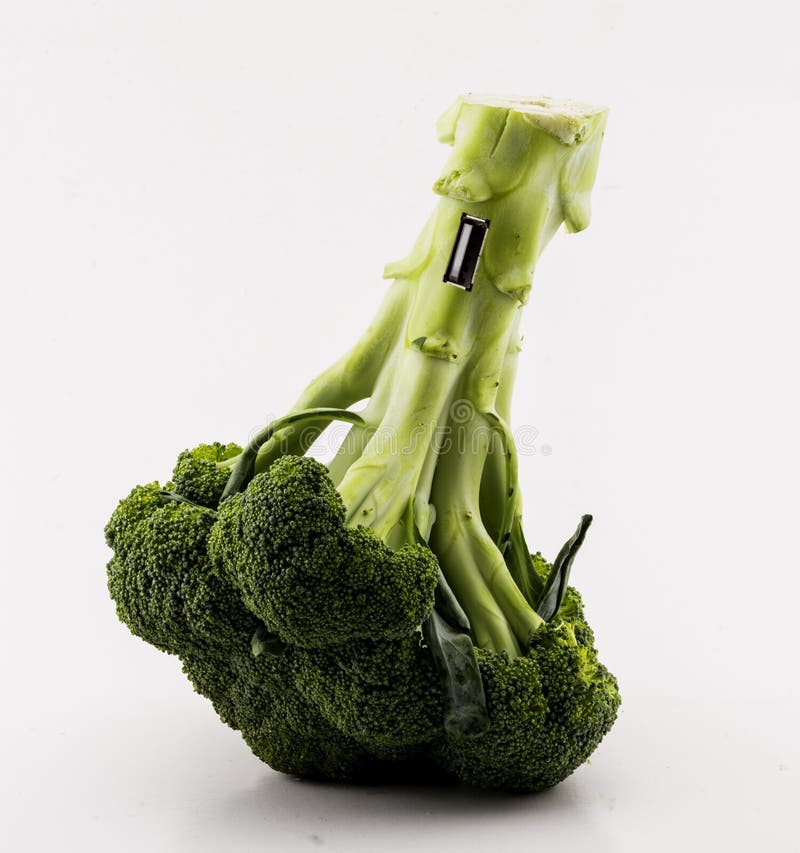 Brocoli and evolution stock photo. Image of agriculture - 43403922