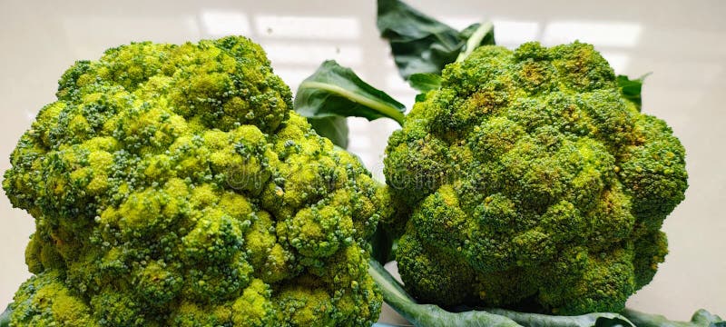 Brocolli turning bad. stock image. Image of light, turning - 342025897