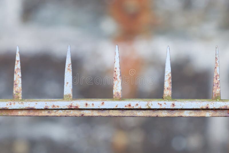 Broddat Staket, Rostiga Gamla Grova Spikar Fotografering för Bildbyråer ...