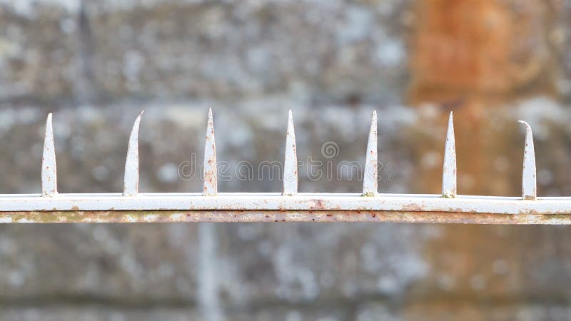 Broddat Staket, Rostiga Gamla Grova Spikar Fotografering för Bildbyråer ...