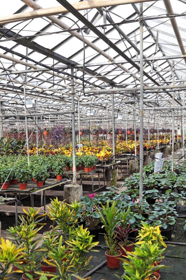 Broeikas stock afbeelding. Image of onderneming, cultureren - 5375561