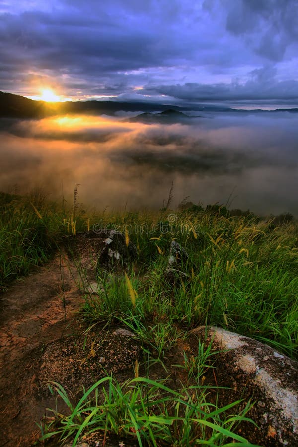 Broga Hill - Sunrise stock photo. Image of grass, tropical - 11883688
