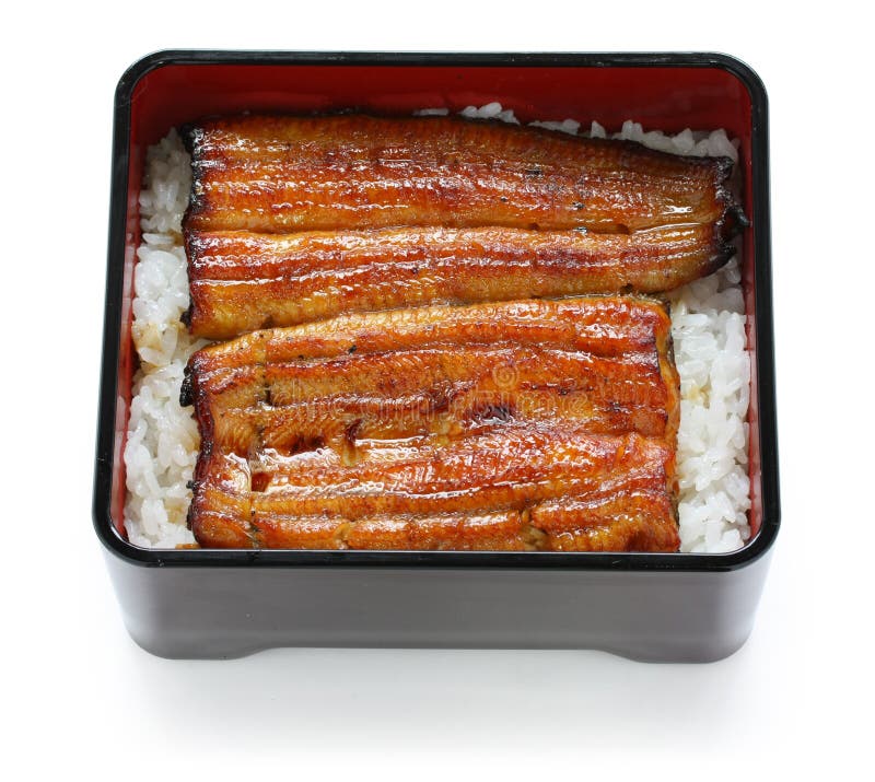 Unagi(eel) stock photo. Image of freshwater, japanese - 5902422