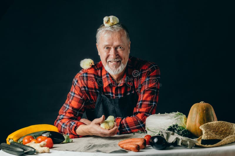 Broiler Poultry. Positive Poultry Breeder Looking at the Camera Stock ...