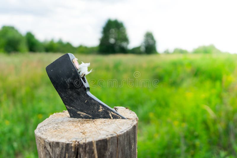 Broken Axe on the Background of Green Meadows. Stock Photo - Image of ...