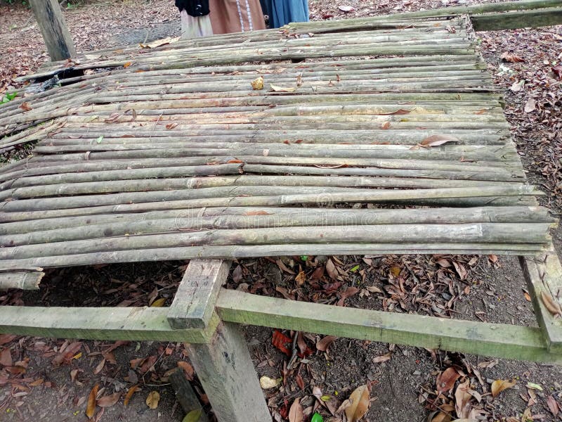 1,761 Broken Bamboo Stock Photos - Free & Royalty-Free Stock Photos ...