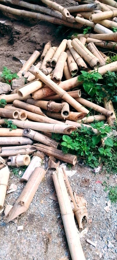 Broken bamboo stock image. Image of textured, desk, exterior - 298244559