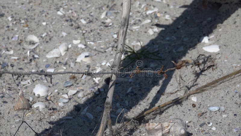 Broken barbed wire fence stock video. Video of iron - 157954239