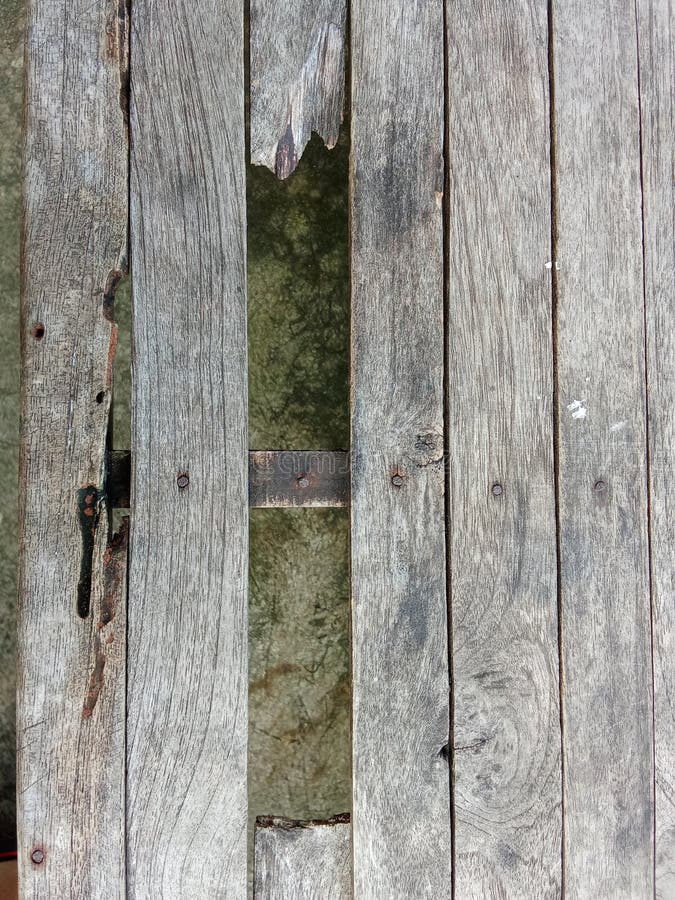 Broken board with holes stock image. Image of plant - 364999097