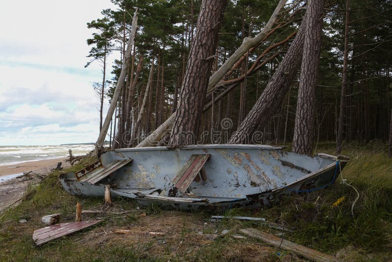 Broken Boat in Forest by Seaside Stock Image - Image of transport ...
