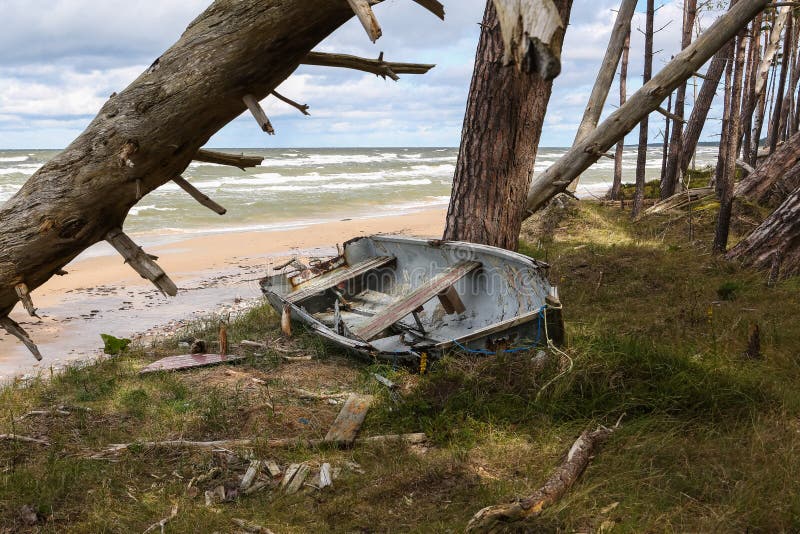 Broken Boat in Forest by Seaside Stock Photo - Image of texture ...