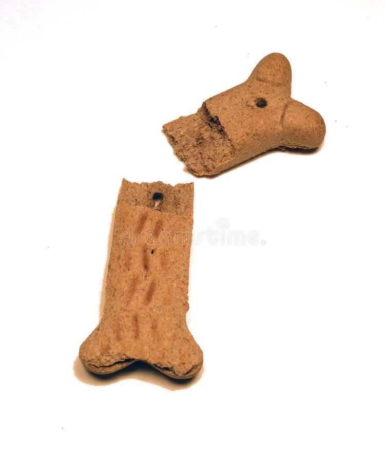 The Top of the New Broken Bone is Usually Very Small Stock Image ...