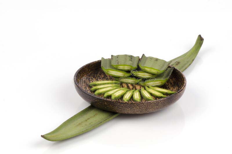 Broken Bones Tree, Damocles Tree, Indian Trumpet Flower (Oroxylum ...