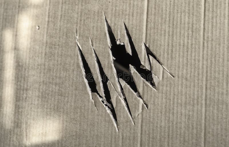 Broken Box with Traces of Claws and Darkness Inside Stock Photo - Image ...