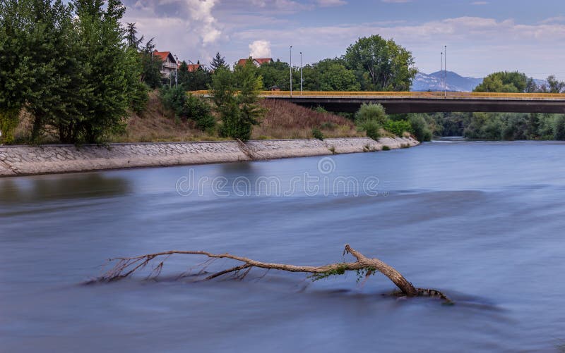 Broken Branch Floating in the Blue Water of the River with a Bridge in ...