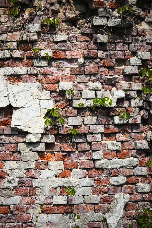 A Broken Brick Wall Picture. Image: 14256049