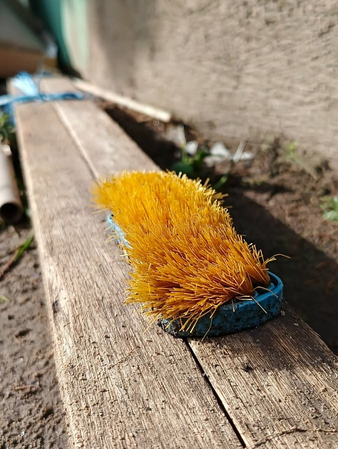 Broken Brush Lay on the Ground Stock Photo - Image of handle, wood ...