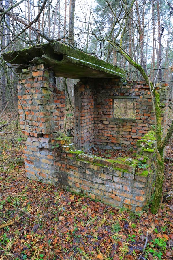 Broken building in forest stock photo. Image of abandoned - 238376522