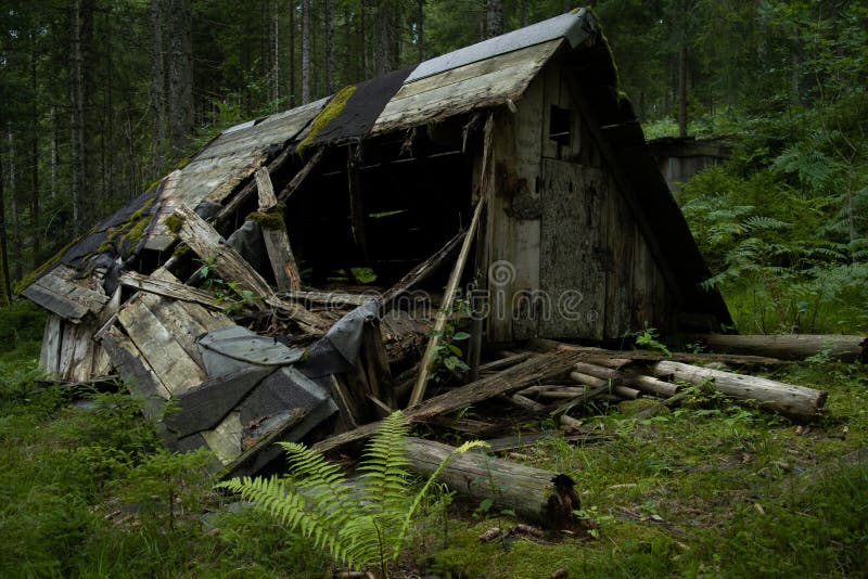 Broken Down Cabin Woods Stock Photos - Free & Royalty-Free Stock Photos ...