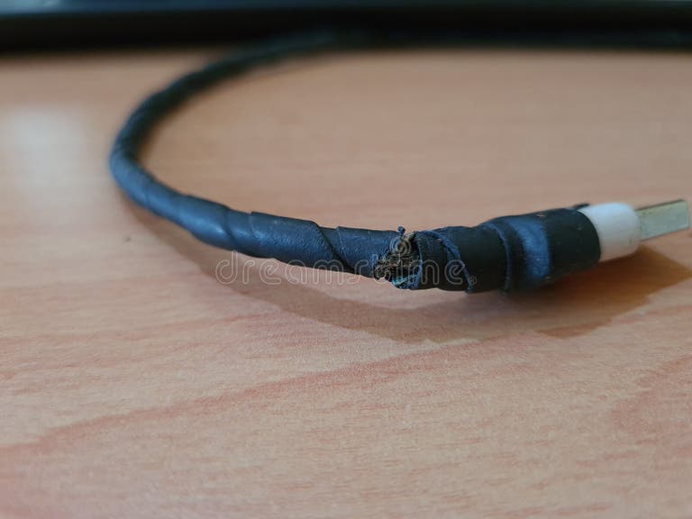 Broken cable bite by mice stock image. Image of bite - 204441991