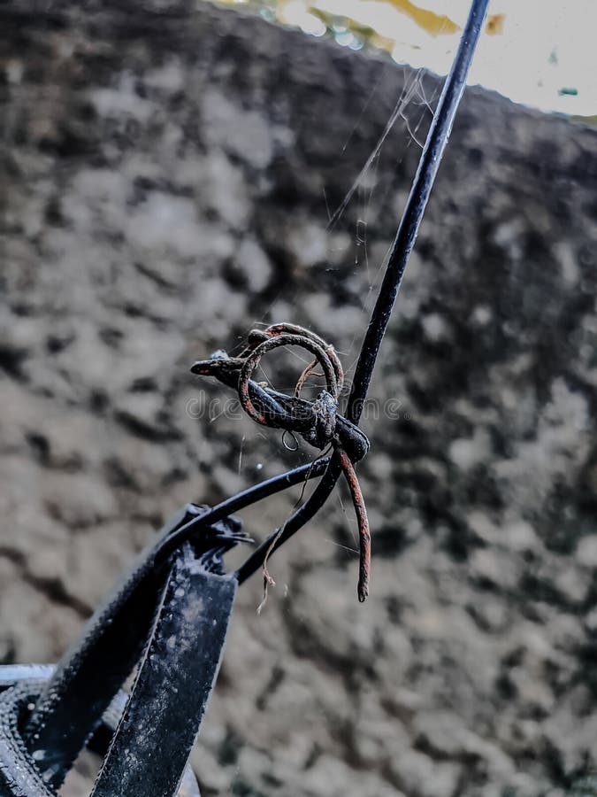 The Broken Cable Was Bitten by Rats Stock Image - Image of spider ...