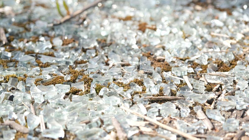 Blurred Shards of Glass for Backgrounds Stock Image - Image of earth ...