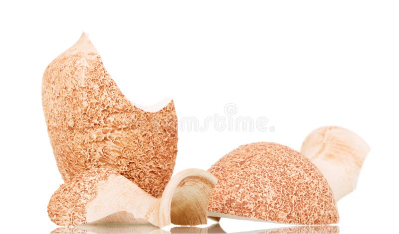 Broken Ceramic Vase Isolated on a White Stock Image - Image of damaged ...