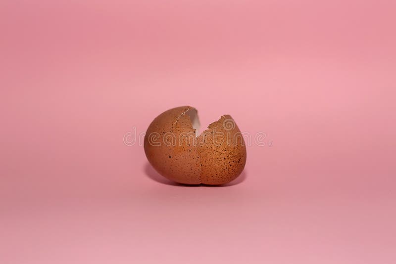 A Broken Chicken Egg. Egg Shell on a Pink Background. Stock Photo ...