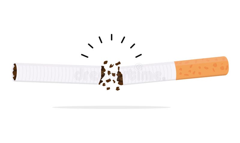 Broken Cigarette Vector Flat on White Background Stock Vector ...